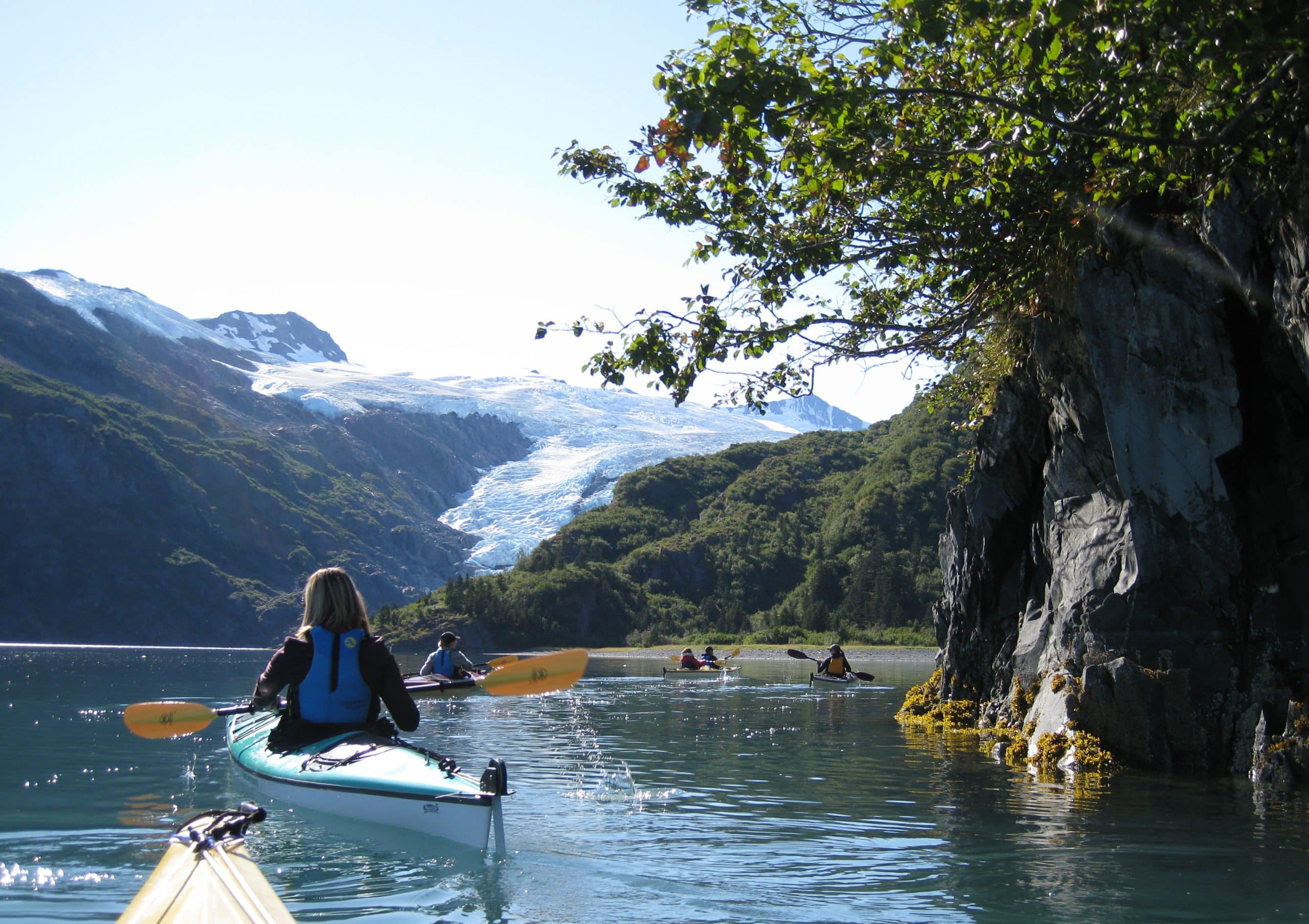 Guided Kayaking Adventure - Lazy Otter Charters